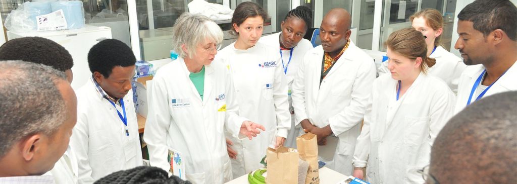 lab4 - The Nelson Mandela African Institution of Science and Technology